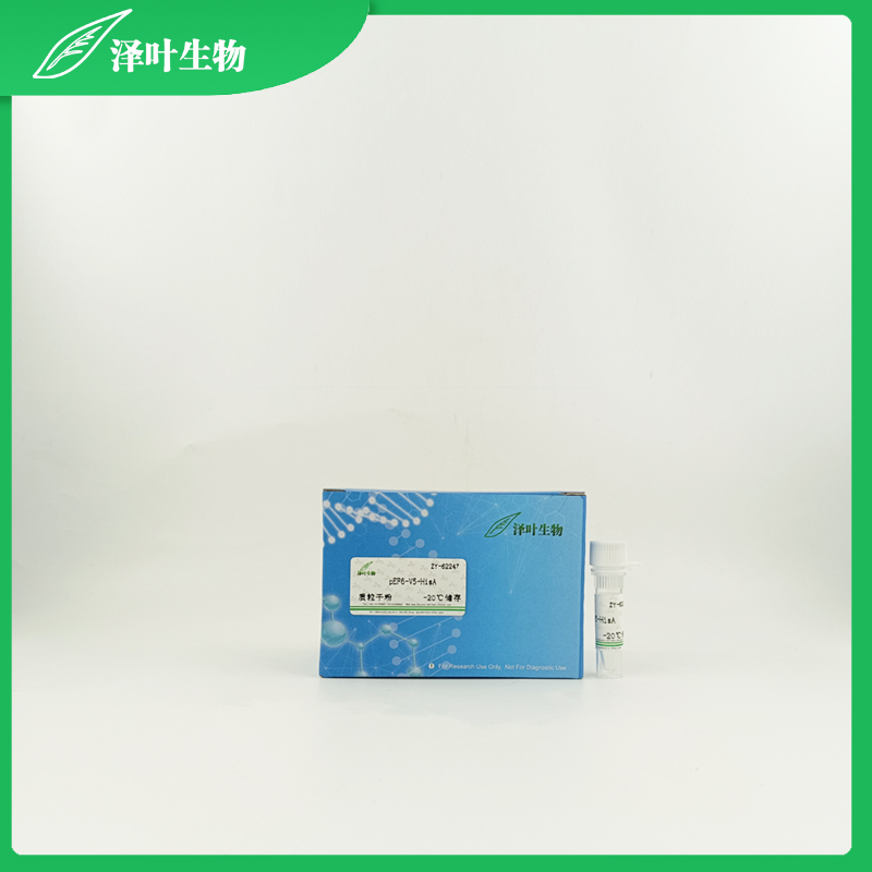 pEF6-V5-HisA 质粒干粉 ZY-62247 - 泽叶生物 - ELISA试剂盒,试剂盒,检测试剂盒,抗体,抗原,重组蛋白,胎牛血清,ATCC细胞,细胞因子,原代细胞,染色液,即用型 ...