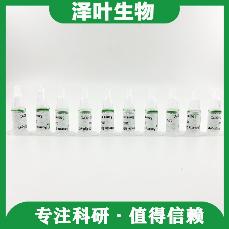 GV3101（pSoup-p19）感受态细胞 ZY62236GC - 泽叶生物 - ELISA试剂盒,试剂盒,检测试剂盒,抗体,抗原,重组蛋白 ...