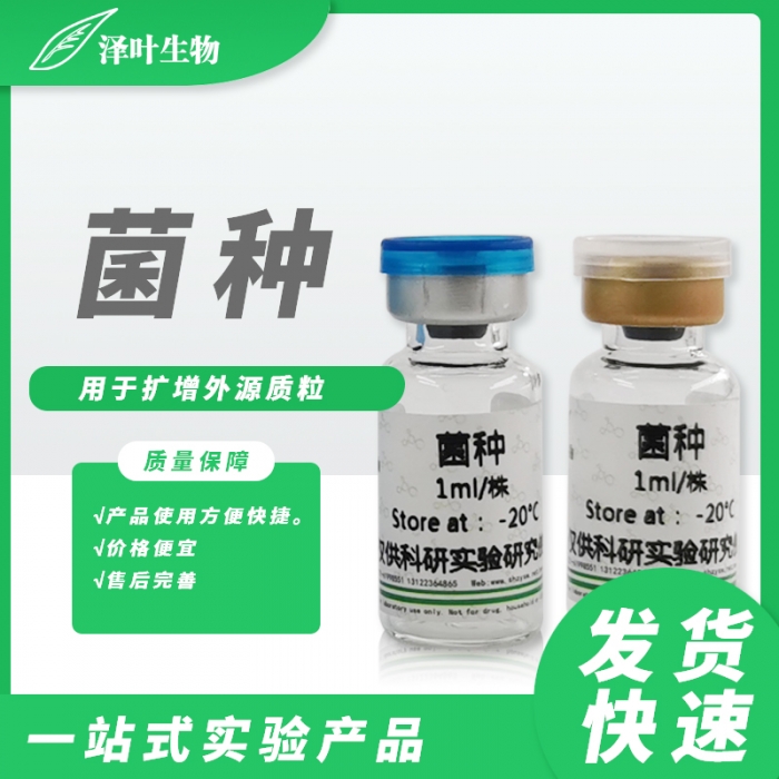 大肠杆菌ET12567(pUZ8002)菌种 ZY681201y - 泽叶生物 - ELISA试剂盒,试剂盒,检测试剂盒,抗体,抗原,重组蛋白 ...
