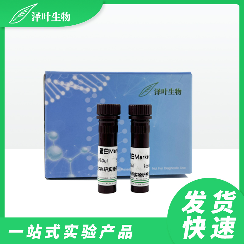 高分子量非变性电泳蛋白Marker（66-669 kD，5条带） ZY-P6012MA - 泽叶生物 - ELISA试剂盒,试剂盒,检测试剂盒 ...