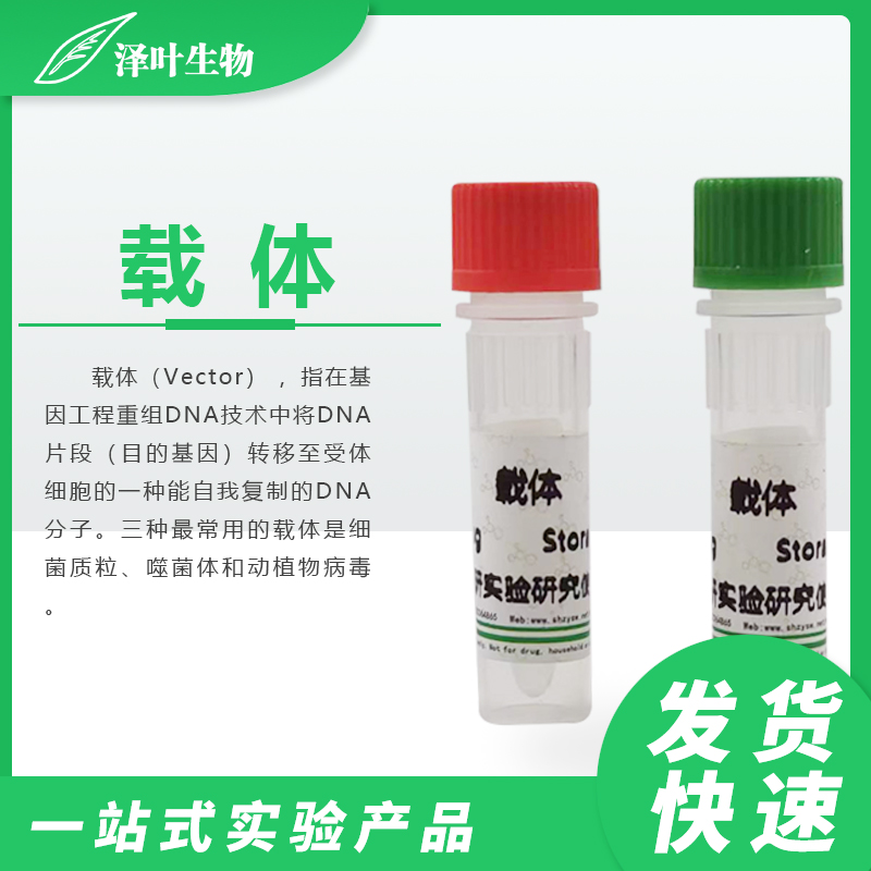 pGreenII 62-SK 载体 (ZY6120Z) - 泽叶生物 - ELISA试剂盒,试剂盒,检测试剂盒,抗体,抗原,重组蛋白,胎牛血清,ATCC细胞,细胞因子,原代细胞,染色液,即用型 ...