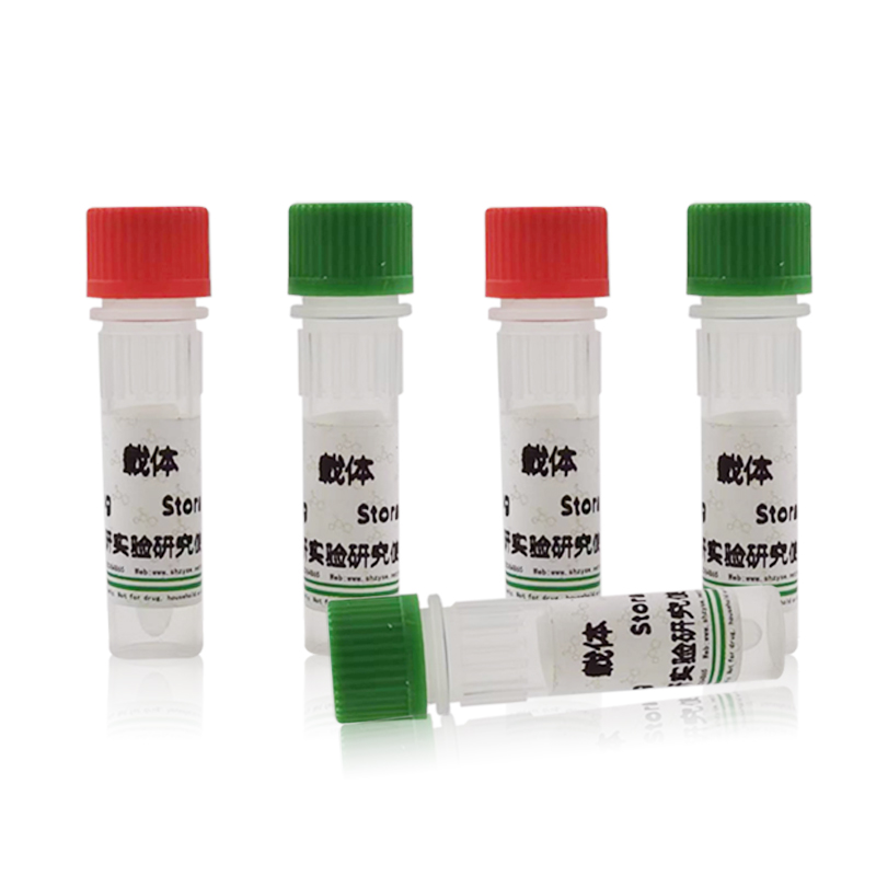 pBluescript II SK(+) 载体 (ZY6790Z) - 泽叶生物 - ELISA试剂盒,试剂盒,检测试剂盒,抗体,抗原,重组蛋白,胎牛血清,ATCC细胞,细胞因子,原代细胞 ...